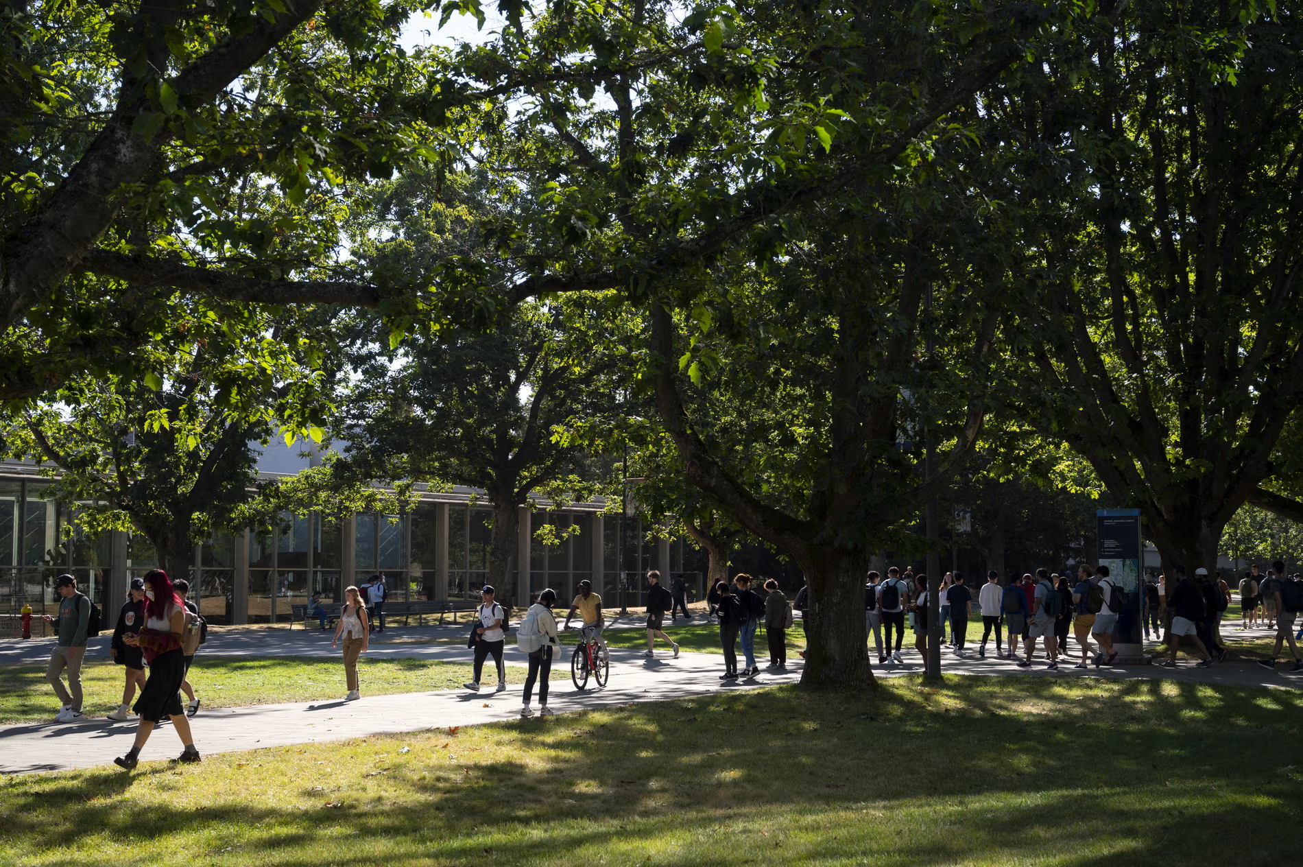 Số sinh viên Mỹ xin du học ở các đại học Canada gia tăng. - Thời Báo Newspaper - Featured